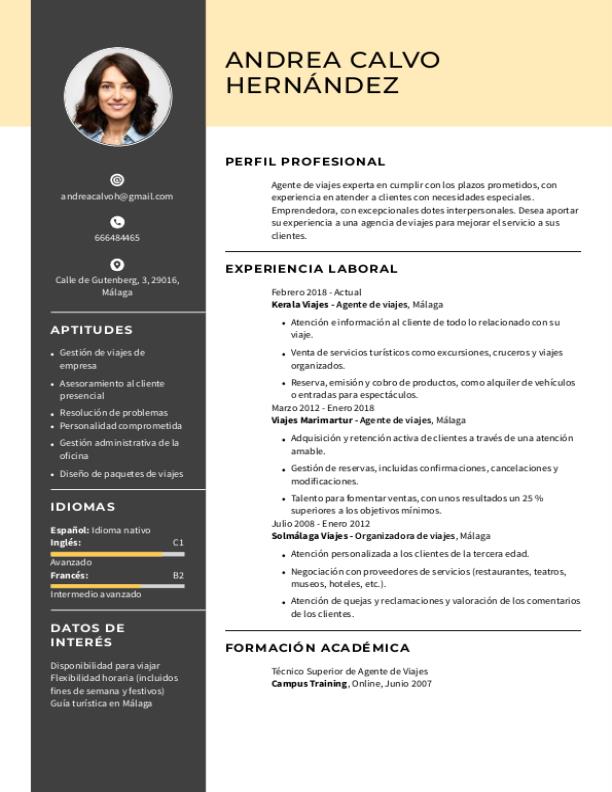 Plantilla De Curriculum Vitae Docente Profesional Plantillas De